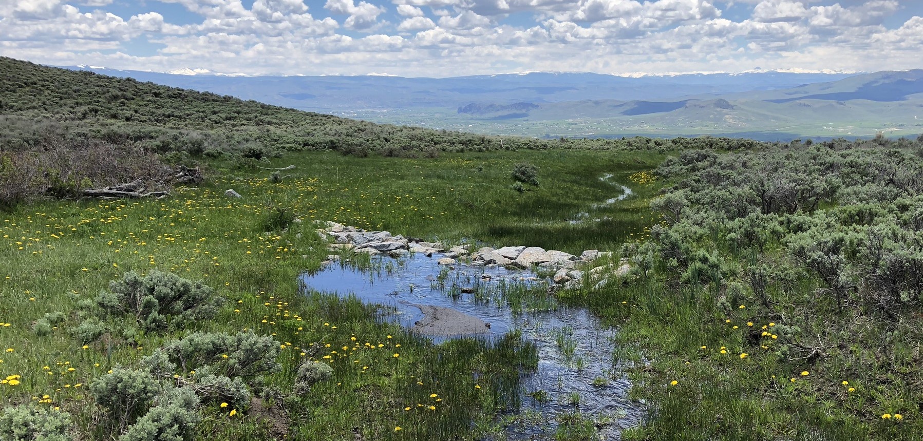 Upper Gunnison Drought Plan