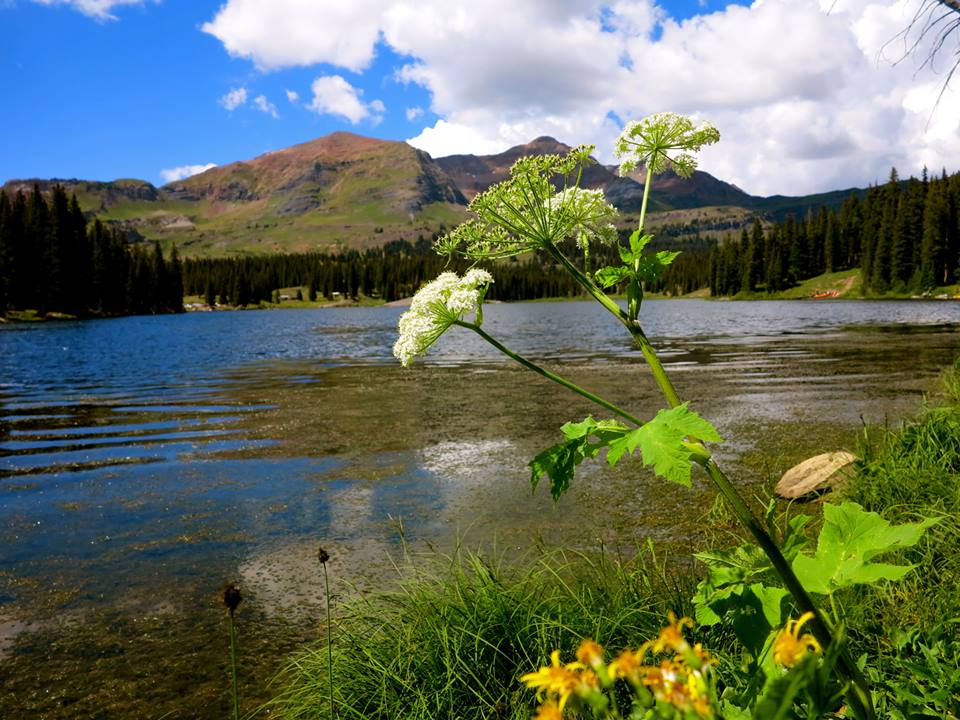 Actions – Upper Gunnison Drought Plan