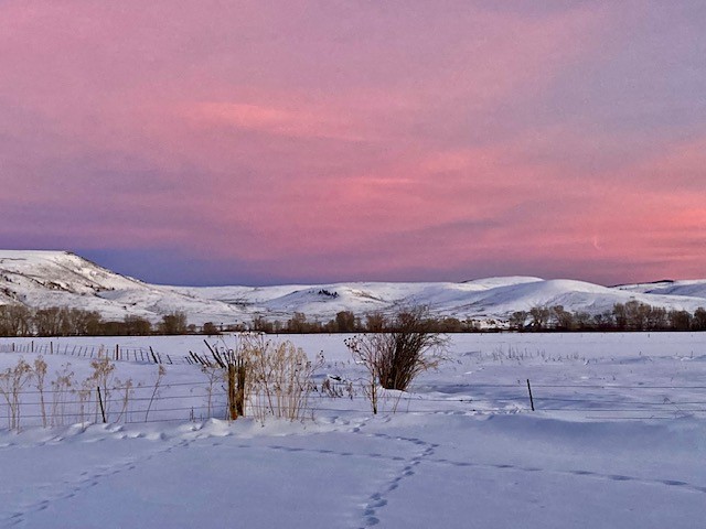 Upper Gunnison Drought Plan